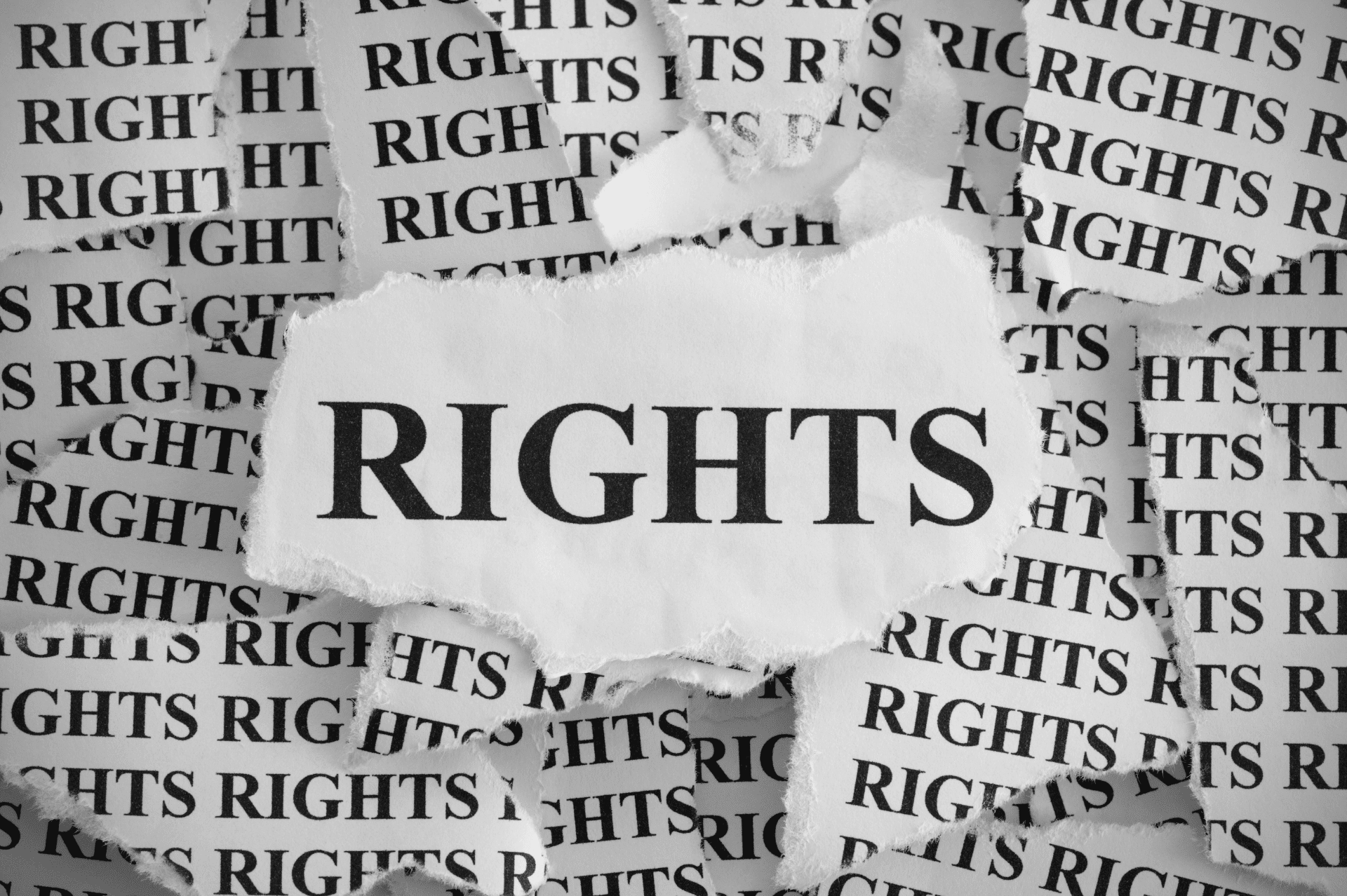 Insights | Birchgrove Legal